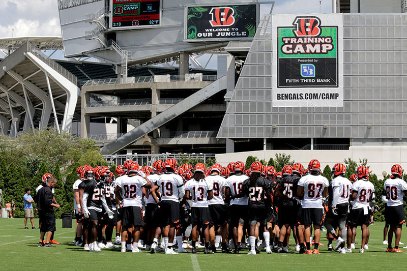 Bengals Checking & Debit Cards | Fifth Third Bank